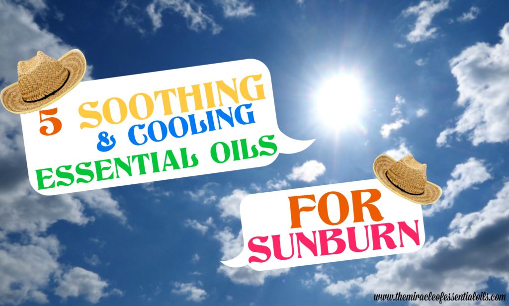 5 Essential Oils for Sunburn Relief | with Natural Cooling & Soothing ...