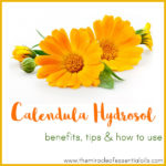 Calendula Hydrosol Benefits, Tips & How to Use - The Miracle of ...