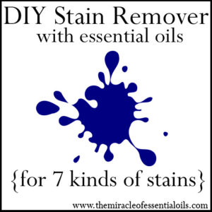 Homemade Essential Oil Stain Remover (for 7 Kinds of Stains) - The ...