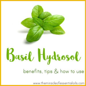 Basil Hydrosol Benefits, Tips & How to Use - The Miracle of Essential Oils