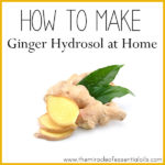 How to Make Ginger Hydrosol at Home - The Miracle of Essential Oils