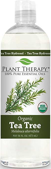 Tea Tree Hydrosol Benefits, Tips & How to Use - The Miracle of ...