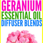 25 Brilliant Bergamot Essential Oil Diffuser Blends - The Miracle of Essential Oils