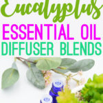 15 Best Geranium Essential Oil Diffuser Blends - The Miracle of ...